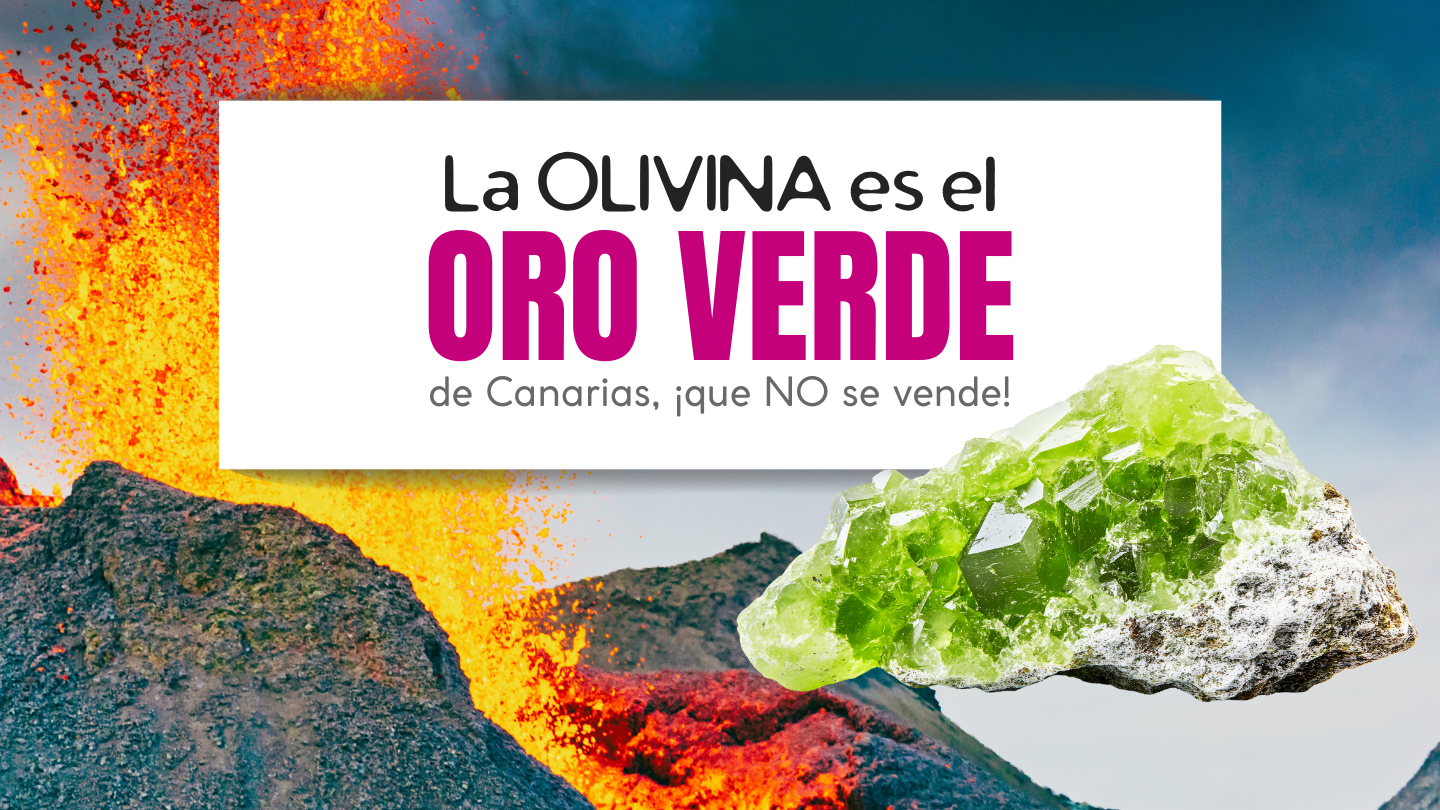 La Olivina: el "oro verde" de Canarias, ¡que no se vende!